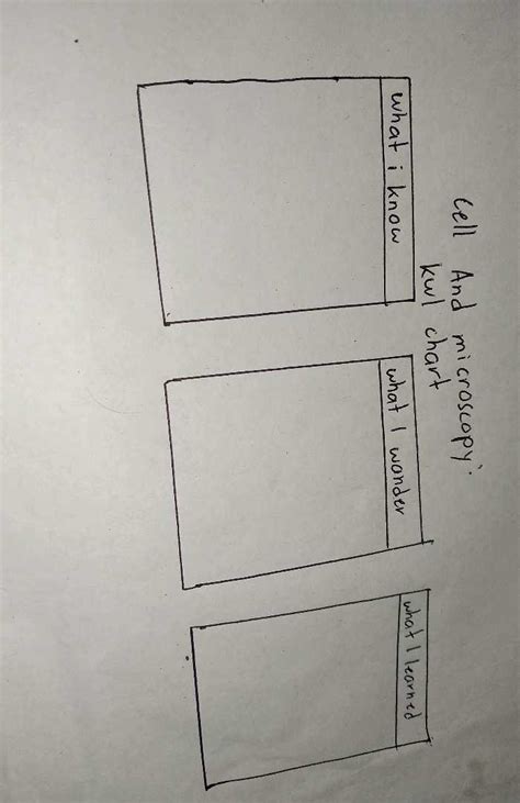 Cell And Microscopy Kwl Chart What I Wander Studyx