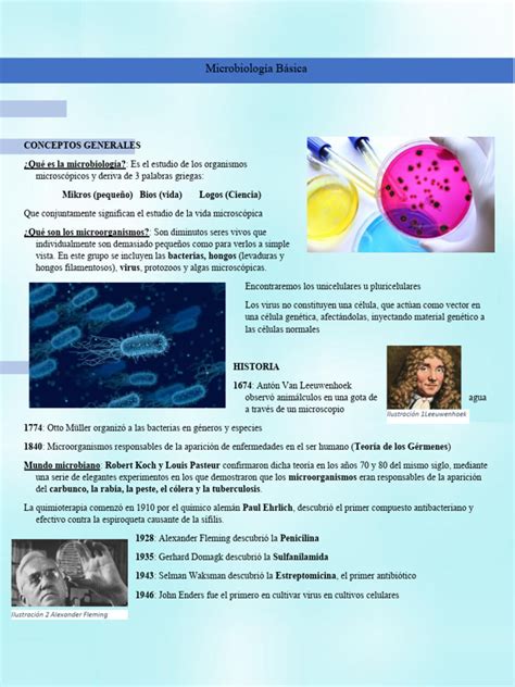 Apuntes Microbiología Basica Pdf