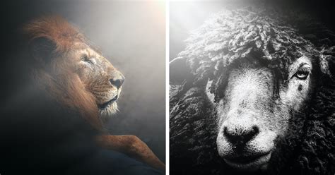 12 Photos Of Majestic Animals I Took At The Zoo | Bored Panda