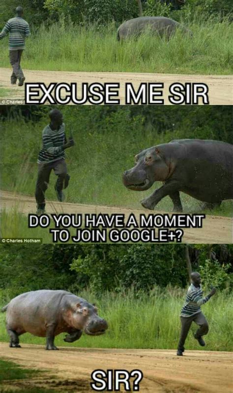 Excuse Me Sir Meme Guy