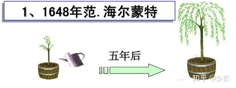 你所不知道的故事！关于植物营养 知乎