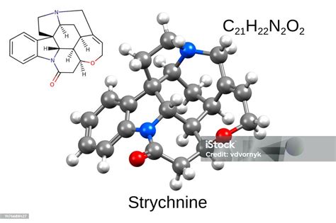화학식 골격식 및 알칼로이드 스트리키닌의 3d 볼 앤 스틱 모델 스트리크닌에 대한 스톡 사진 및 기타 이미지 스트리크닌 0명 3차원 형태 Istock