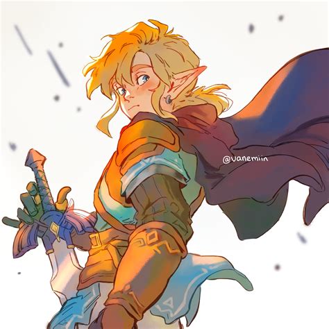 Vanemiin Link Nintendo The Legend Of Zelda The Legend Of Zelda