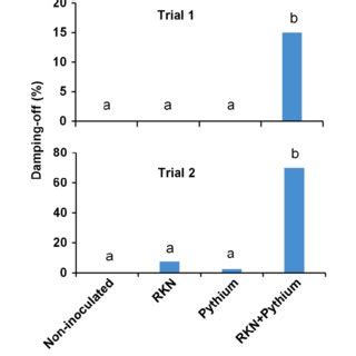 Incidence Of Pythium Damping Off In Cucumber Inoculated With Pythium Download Scientific