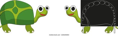 Vector Cartoon Turtle Xray Stock Vector Royalty Free 2181045853