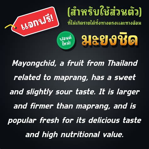 มะยงชิด Mn Mayongchit Belamp