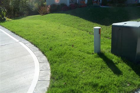 005 Buddy Rodgers And Son Professional Lawn Care
