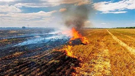 पराली जलाई तो होगी एफआईआर एमपी के सात शहरों में प्रदूषण को रोकने के