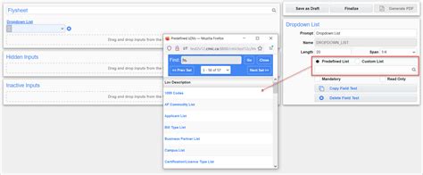 Imaging Predefined Lists And Custom Lists In The Dynamic Flysheet Builder