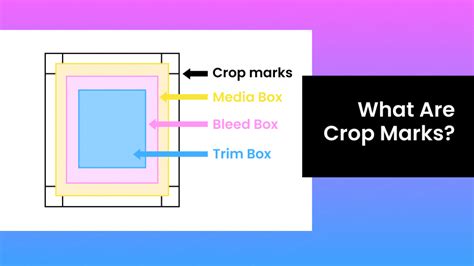 How To Add Crop Marks In PDF With Adobe Acrobat UPDF
