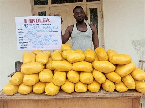 Ndlea Seizes Illicit Drug Consignment At Mmia Intercepts 5 Pregnant
