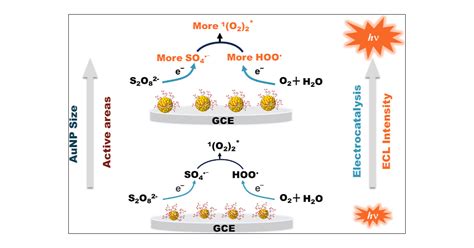 Rapid Size Determination Of Quasispherical Gold Nanoparticles By Electrocatalysis Efficiency