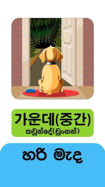 කොරියන් වචන 5 අභියෝගය කරමු 🇰🇷🤍 I Daily 5 Word Challenge In Korean 30 I