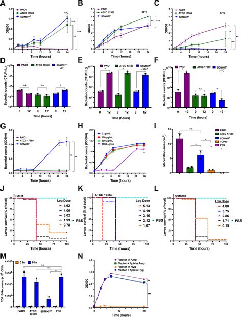 Taxonomic Characterization Of Pseudomonas Hygromyciniae Sp Nov A Novel Species Discovered