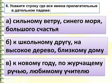 Именительный родительный винительный падежи прилагательных м и с рода единственного числа