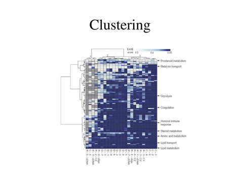 Ppt Analysis Of Microarray Data Powerpoint Presentation Free
