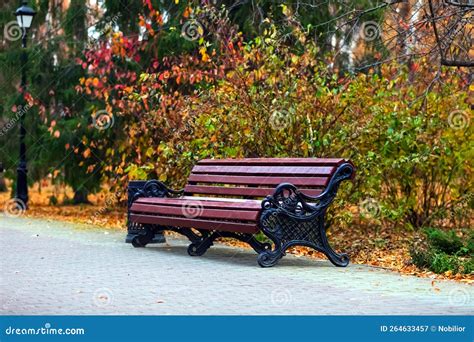 Classical Bench In A Park Stock Image Image Of Forest 264633457