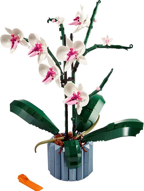 Ufficializzati I Nuovi Lego Botanical Collection Piante Grasse E