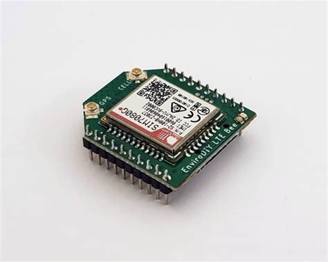 Envirodiy Lte Bee Pack Of 5 Envirodiy
