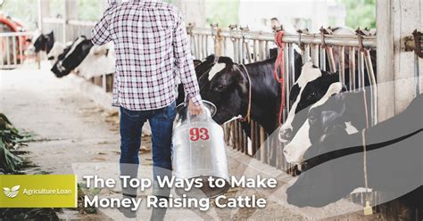 Top Ways To Make Money By Raising Cattle Agriculture Loan