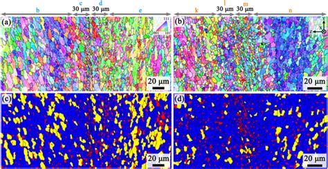 ipf maps overlayed on grain boundaries a b distribution maps of