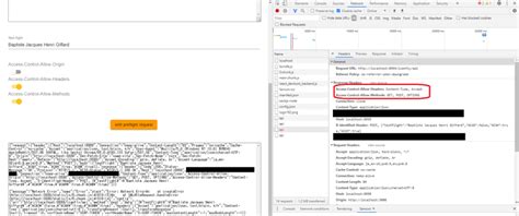 CORS の挙動の観察と preflight request の検証 Ewig Leere Lab