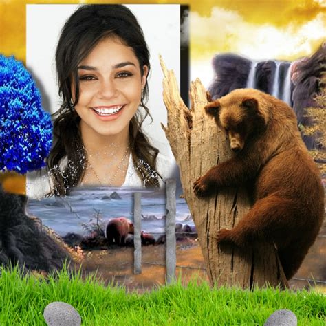 Itsmichelles Wildlife Frames 2017 April Bear Hanging Out Horror02 Wildlife Bear Hanging