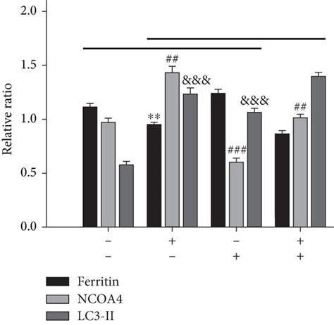Pdtaa Induces Ferritinophagy A The Effect Of Pdtaa On Download