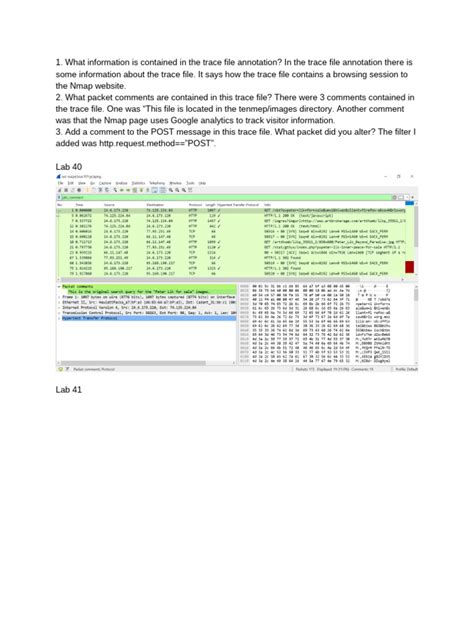 Wireshark Chapter 7 Labs And Challenge Pdf
