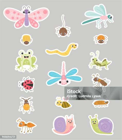 귀여운 곤충 스티커 세트 달팽이 딱정벌레 잠자리와 나비 꿀벌과 개미 거미와 메뚜기의 재미있는 장식 캐릭터 벡터 일러스트레이션 격리된 요소 개구리에 대한 스톡 벡터 아트 및