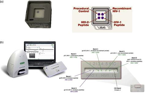 A Bio Rad Multispot Hiv 1hiv 2 Rapid Test Images Kindly Provided By Download Scientific