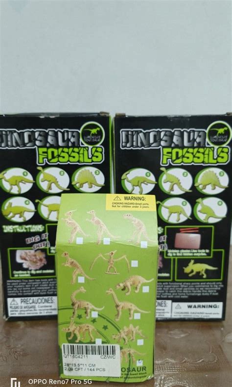 Dino Fossils Digging Hobbies And Toys Toys And Games On Carousell