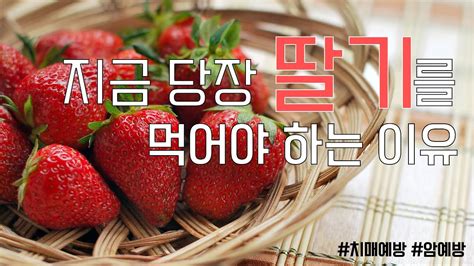 딸기를 꼭 먹어야 하는 이유 치매 암예방 등 도움되는 딸기의 효능 Youtube