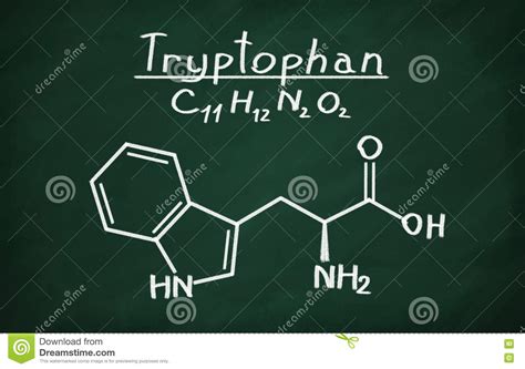 Structural Model Of Tryptophan Stock Illustration Illustration Of