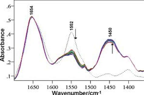 An Ft Ir Spectrum Of Hsa In A H 2 O Solution And Those Of Hsa In A D 2