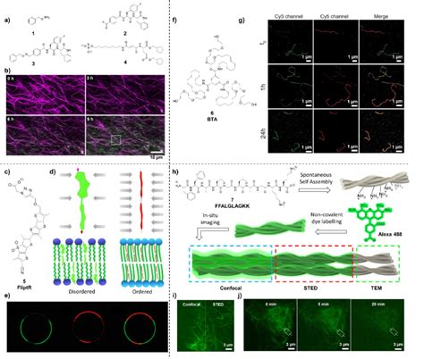 Super Resolution Imaging Of Self Assembly Processes A Chemical