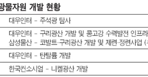 대우인터 카메룬 광물 탐사권 획득 삼성물산 콩고 구리광산 곧 진출