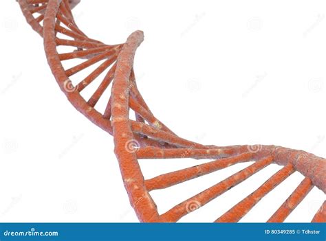 Struttura Della Molecola Del DNA Isolata Nel Bianco Illustrazione 3D