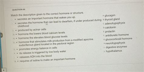 Solved Matching With Correct Hormone QUESTION Match The Description Course Hero