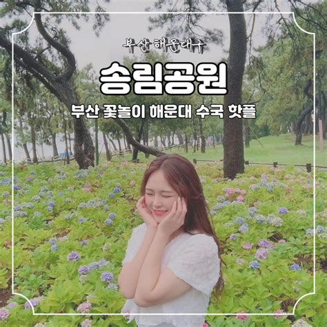 송림공원 수국 명소 부산 나들이 해운대 가볼만한곳 네이버 블로그