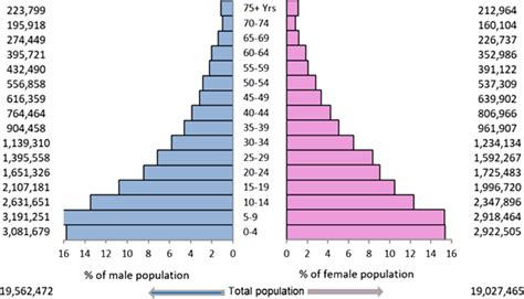 Population Pyramid Showing Average Annual Person Years By Sex And Age