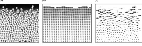 Pattern Based Particle Velocimetry Methods A Example Of Image Download Scientific Diagram