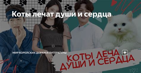 Коты лечат души и сердца Мир Корейских дорам и литературы 한류 Дзен