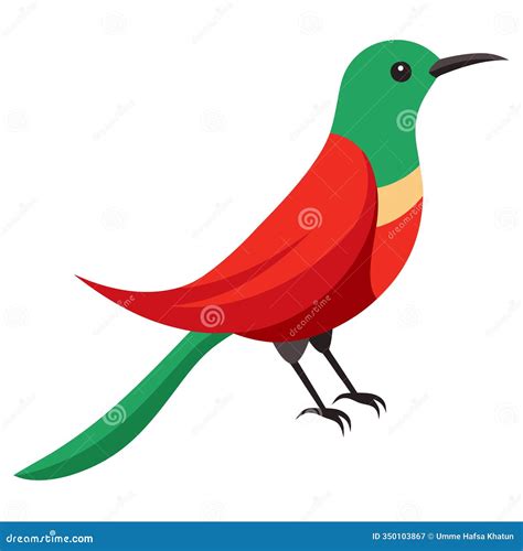 Sunbird Stock Image 348690043