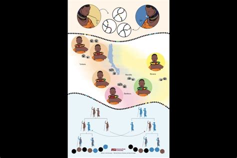 Human Genetic Variation