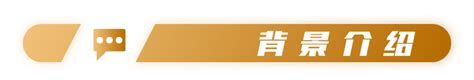 马拉松事故