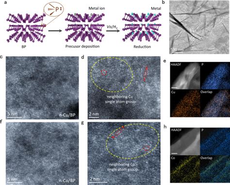 Photoinduced Loading Of Electron Rich Cu Single Atoms By Moderate