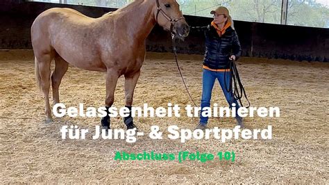 Gelassenheit Trainieren Abschluss An Der Longe Folge10 Youtube