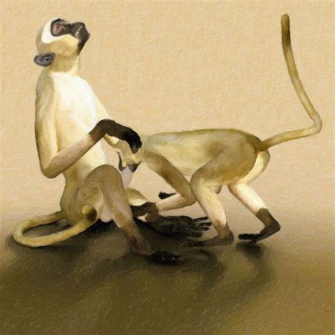 Monkey Fuck Fiction Sex Story