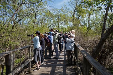 Birding 101 Everything You Need To Know EcoWatch